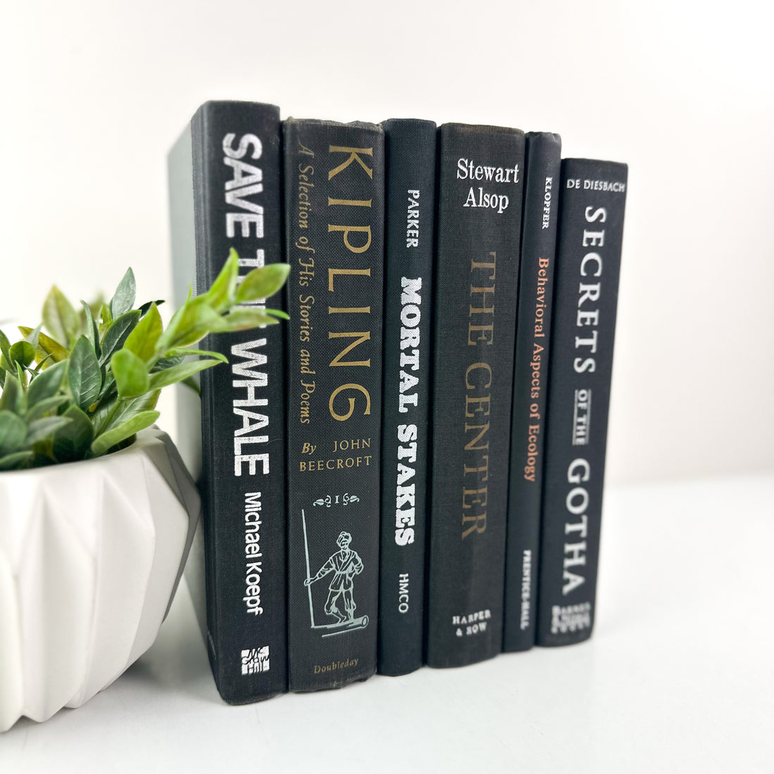 Set of Books – Elements