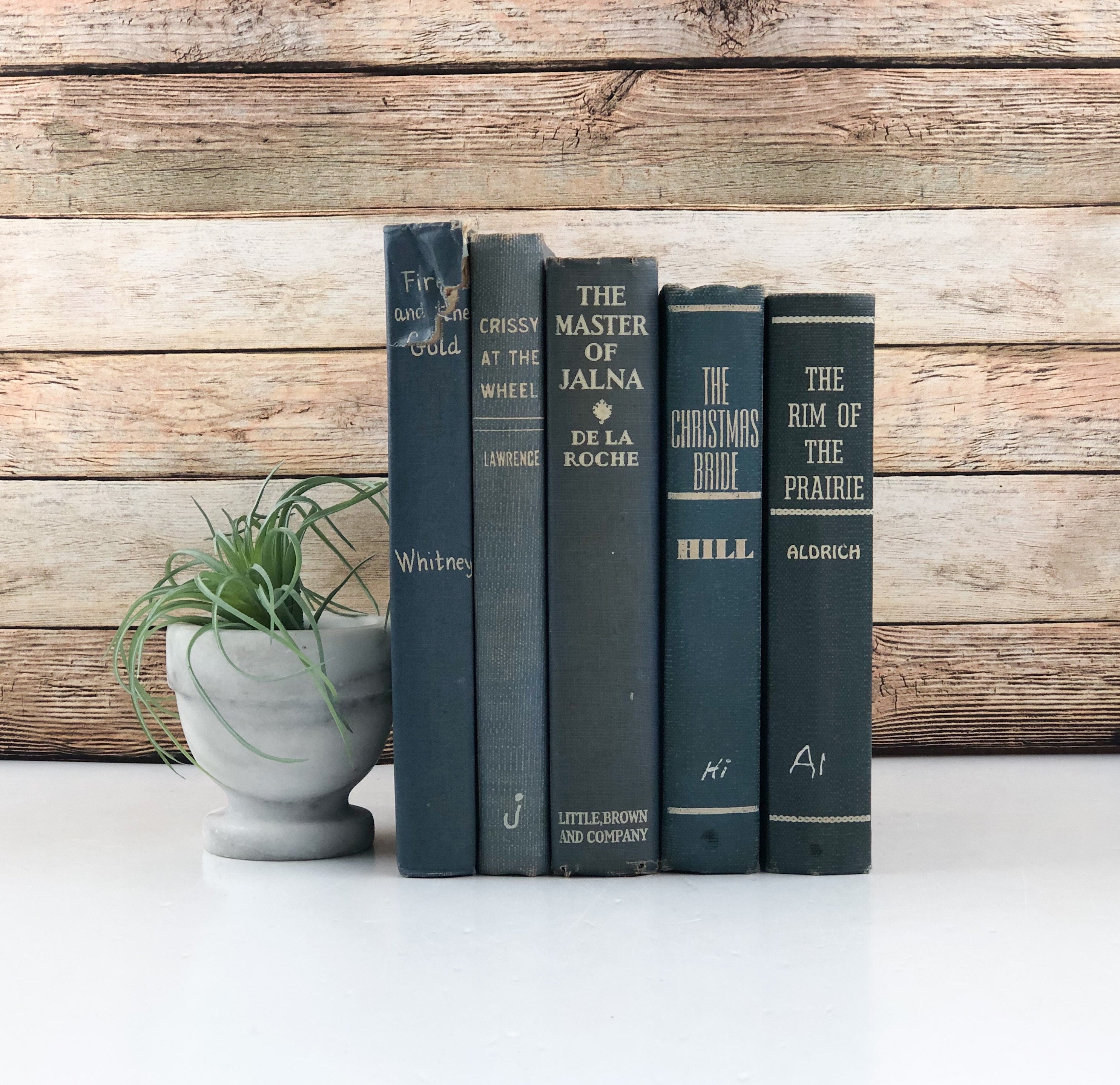 Blue Set of Books – Elements