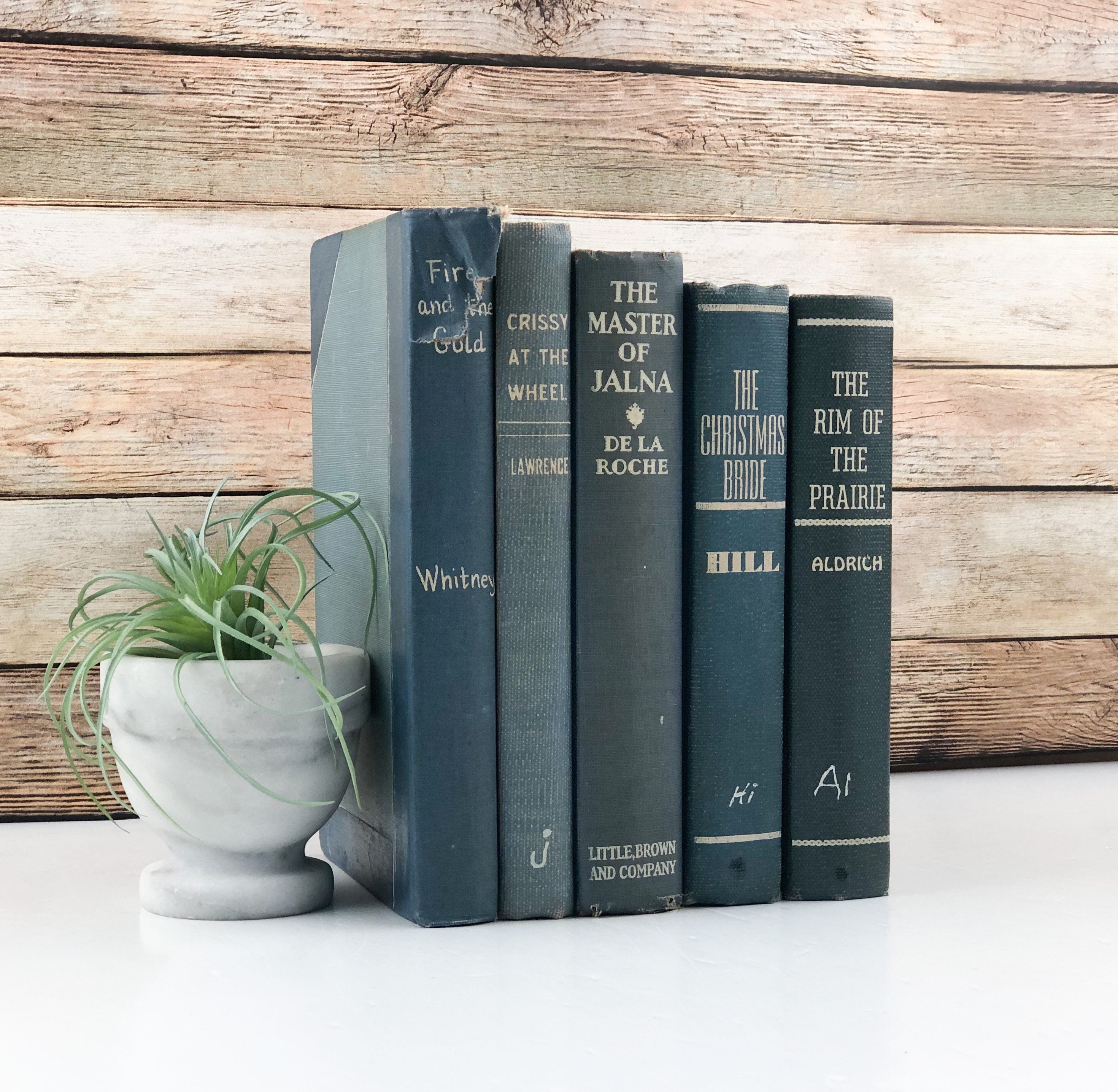 Blue Set of Books – Elements