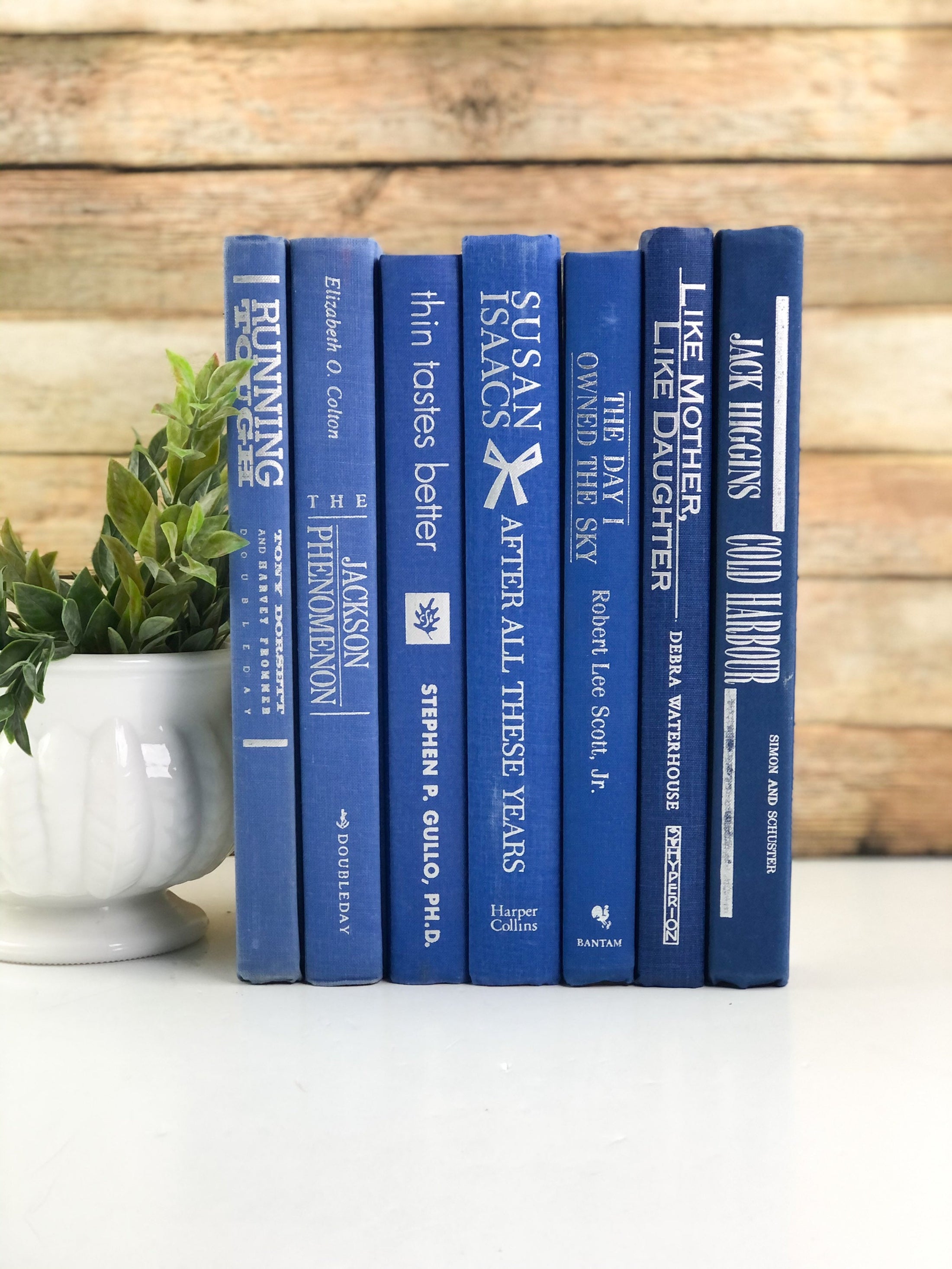 Blue Shelf Decor – Elements